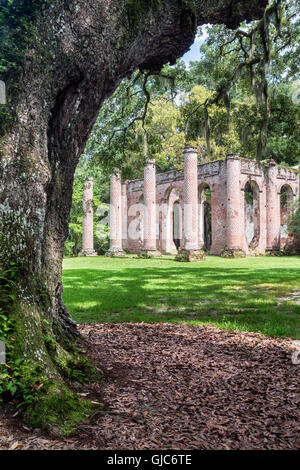The Sheldon Church ruins at Yemassee, South Carolina are framed by Live ...