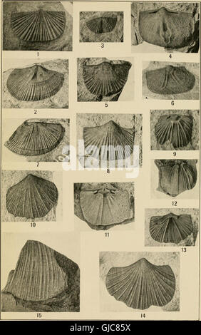 Smithsonian miscellaneous collections (1924 Stock Photo - Alamy