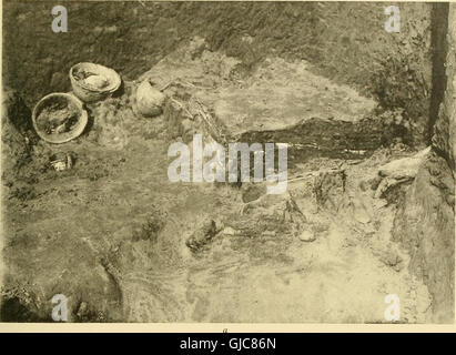 'Ur Excavations' (1900) documents archaeological digs in ancient ...