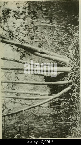 This 1902 biography of Charles Eliot highlights his work as a landscape ...