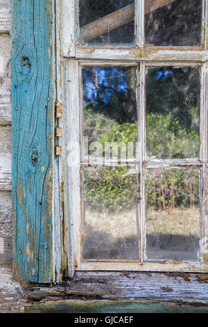 Sapelo Island in Georgia is home to a goat farming operation that plays ...
