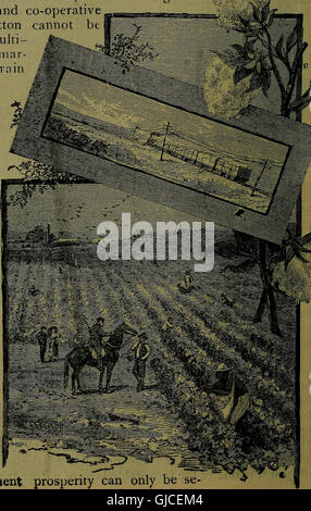 The 'Pictorial Review of the City of Paris and Lamar County, Texas ...