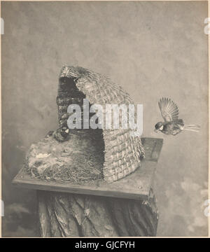 A collection of twenty-five photographs printed using the platinotype ...