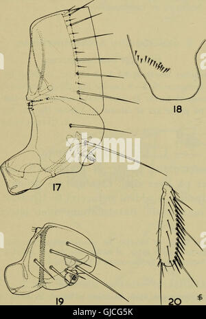 This 1907 Danish work offers a detailed and illustrated guide to the ...