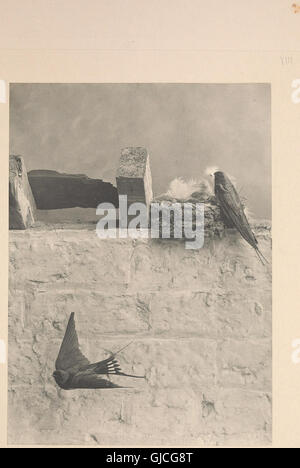 This 1895 collection features twenty-five photographs printed using the ...