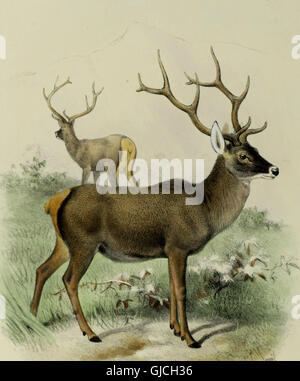 This 1898 work explores the history of the Cervidae family, covering ...