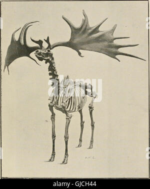 'Ireland: Industrial and Agricultural' (1902) focuses on the economic ...