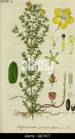 A 1806 botanical work featuring detailed illustrations of Germany's ...