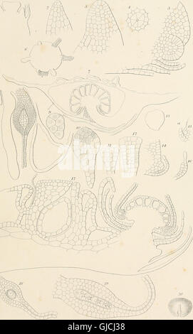 This 1862 work discusses the processes of germination, development, and ...