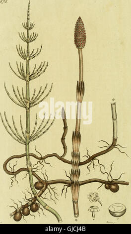'Svensk botanik' (1812) is a work on Swedish botany, detailing the ...