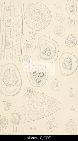 This 1862 work discusses the processes of germination, development, and ...