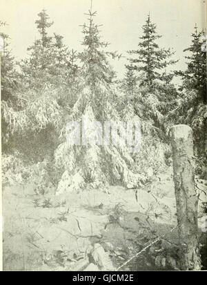 A 1920 publication detailing significant geographical explorations ...