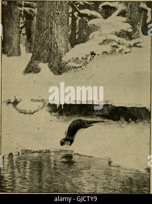 Buzzacott's masterpiece; (1913 Stock Photo - Alamy