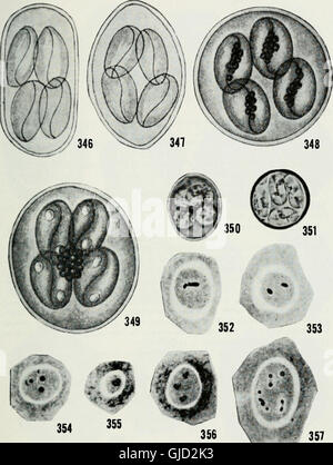 This study on coccidian parasites focuses on protozoa and sporozoa ...