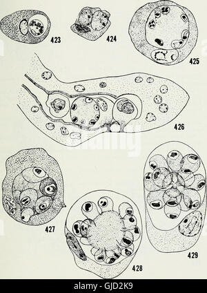 'The Coccidian Parasites of Rodents' (1965) studies the protozoan ...