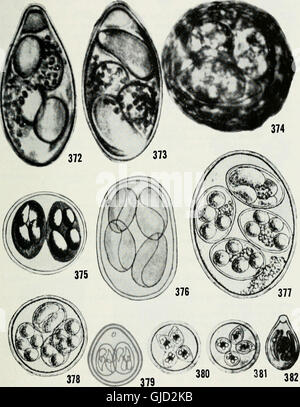 This 1965 study focuses on coccidian parasites, specifically protozoa ...