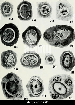 'The Coccidian Parasites of Rodents' (1965) examines the coccidian ...
