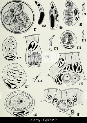 'The Coccidian Parasites of Rodents' (1965) examines the coccidian ...