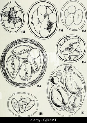 'The Coccidian Parasites of Rodents' (1965) examines the coccidian ...