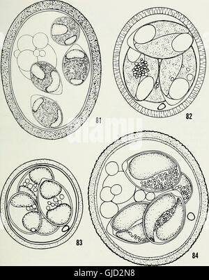 . The coccidian parasites (Protozoa, Sporozoa) of rodents. Coccidium ...