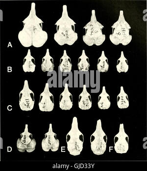 'Biology of the Heteromyidae' (1993) provides an in-depth examination ...