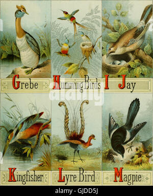 The 1874 *Picture Alphabet of Birds* is a visual guide to bird species ...