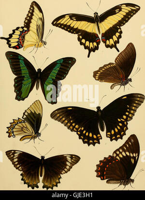 This 1852 catalogue lists lepidopterous insects housed in the British ...