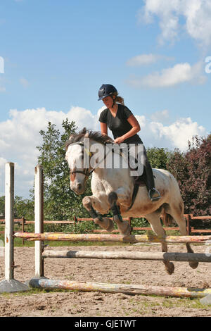 ride horse spring bouncing bounces hop skipping frisks jumping jump ...