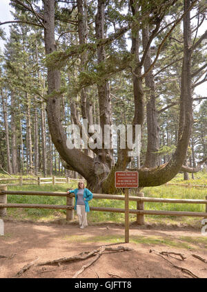 Visiting the forest at the Meares state park Oregon coast Stock Photo ...