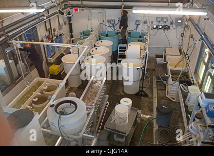 The Deep Bay Marine Field Station at Bowser on Vancouver Island SCO ...