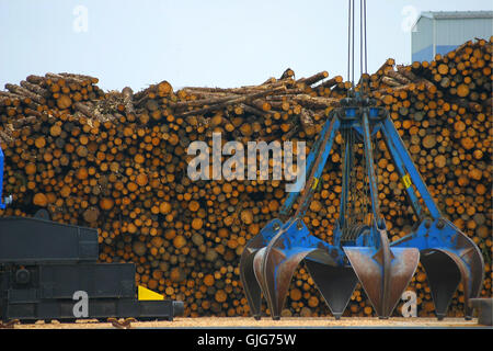 Gripper loading wood Stock Photo - Alamy