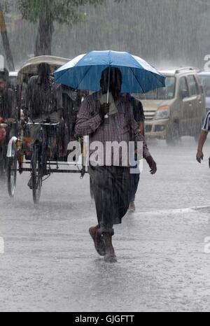 Allahabad, India. 16th Aug, 2016. A rickshaw puller during heavy rain ...