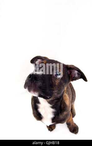 all good things come from above Stock Photo - Alamy