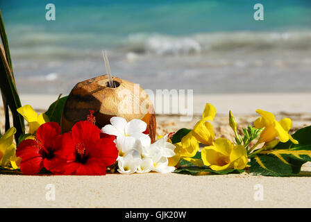 Hibiscus flower salt Stock Photo - Alamy