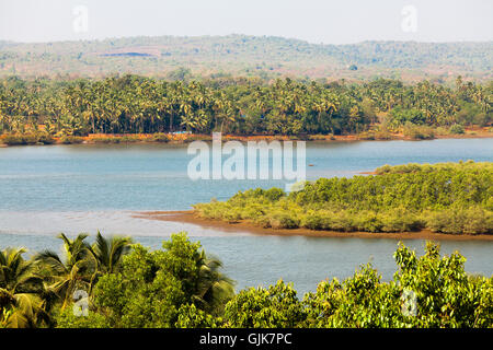 goa terekhol river landscape Stock Photo - Alamy