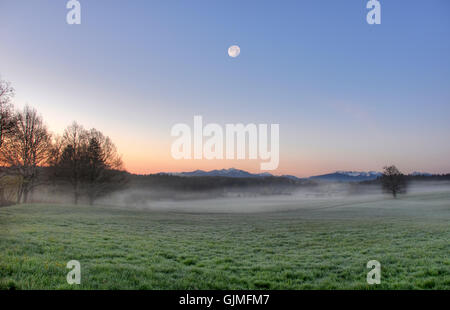 Full moon shines in morning sky Stock Photo - Alamy