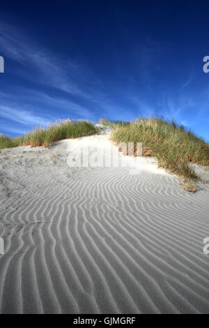 beach seaside the beach seashore design shaping formation shape model ...