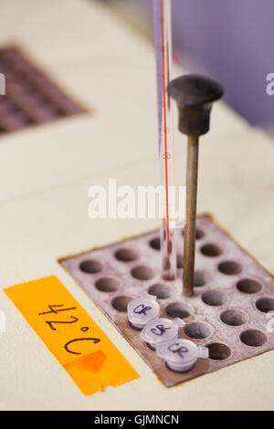 Microfuge tubes in dry heating block Stock Photo - Alamy