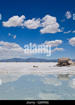 salt, desert, wasteland, field, landscape, scenery, countryside, nature ...