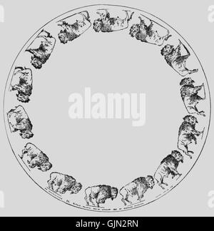 Muybridge Buffalo sequence Stock Photo - Alamy