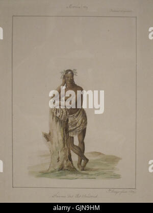 This painting by Jacques Arago, titled 'Woman of the Sandwich Islands ...