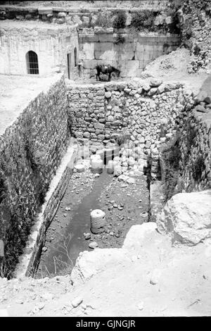 A photograph of the Pool of Siloam, located at the northern end ...