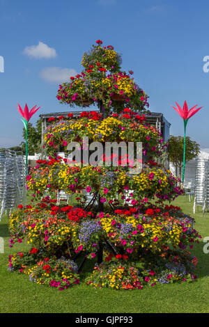 Yellow flowers in summer at the Pyramid of the Sun in San Juan ...