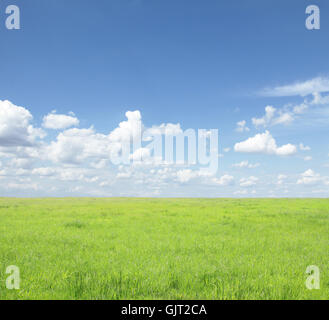 horizon summer summerly Stock Photo - Alamy