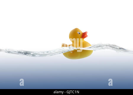 blue toy duck plastic synthetic material close blue object macro close ...