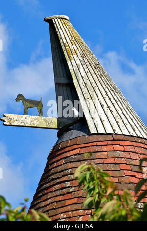 The top or cowl of an oast house or hop kiln , Kent, England UK Stock ...