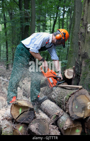 Forest workers in protective clothing at the wooden back with the ...