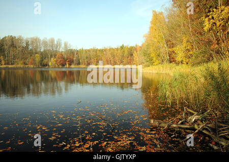 fresh water, lake, inland water, water, rhineland-palatinate, tree, fog ...