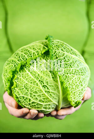 hand hands vegetable cabbage possession holding lawn green head woman ...