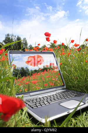 PC computers computer coloured colourful gorgeous multifarious richly ...